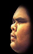 Israel Kamakawiwo`ole - Albums - e-Hawaii